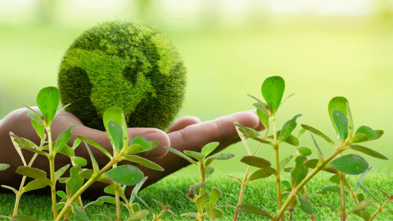 7 Essential Benefits of Microgreens for Eco-Friendly Farming